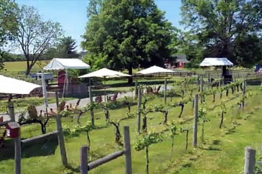 Shiloh Manor Farm – Loudoun County VA Wedding Venue